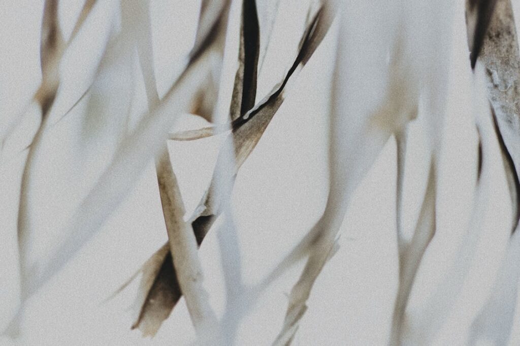 Interconnectedness: A Poem of Connection and Beyond, Read Here ...